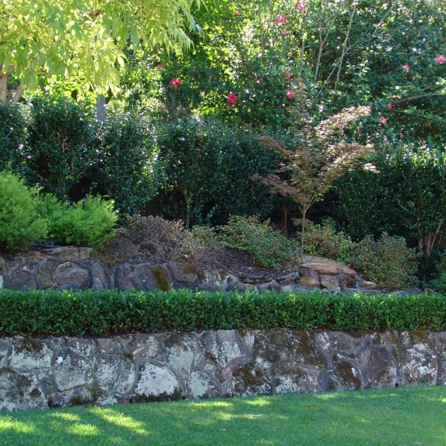 Transforming plain garden walls to create functional outdoor rooms ...